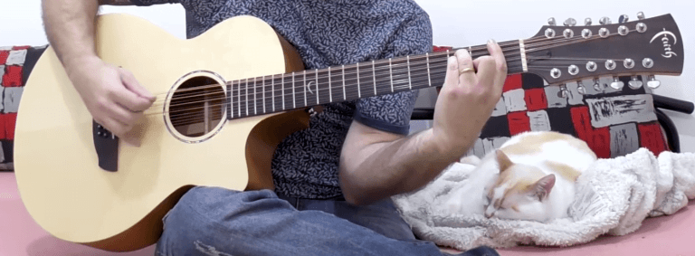 Easy 12-string Guitar Chords to Learn - BetterMuSeek