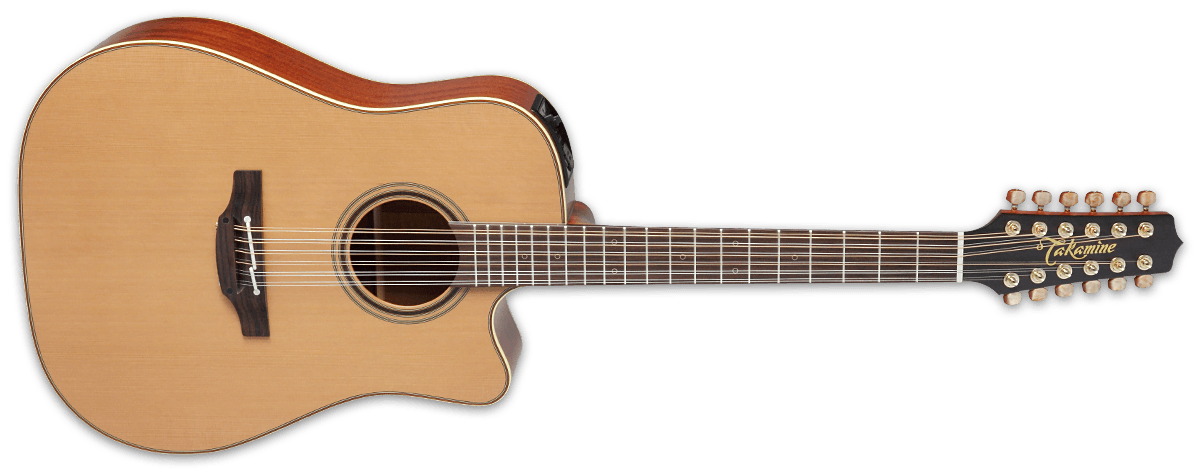 The Best Guide To Takamine 12 String Guitars - BetterMuSeek