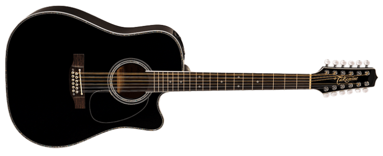 The Best Guide To Takamine 12 String Guitars - BetterMuSeek