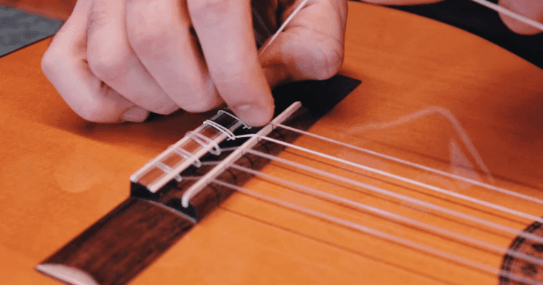 Best Bridge Doctor How To Guide - BetterMuSeek