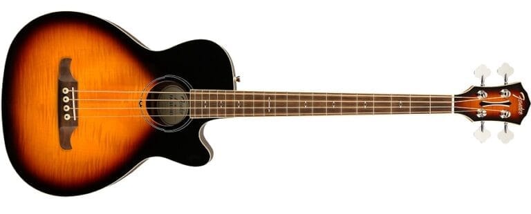 11 Best Acoustic Bass Guitars - BetterMuSeek