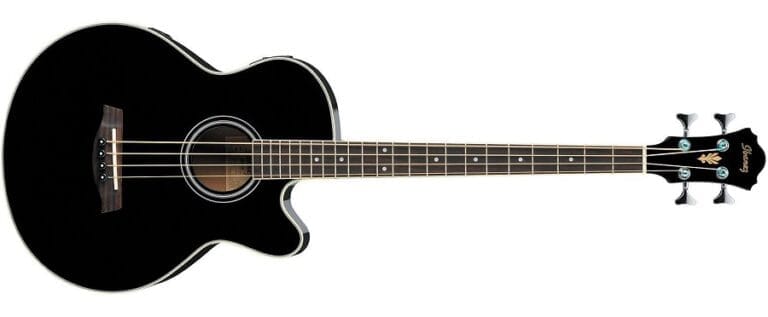 11 Best Acoustic Bass Guitars Bettermuseek