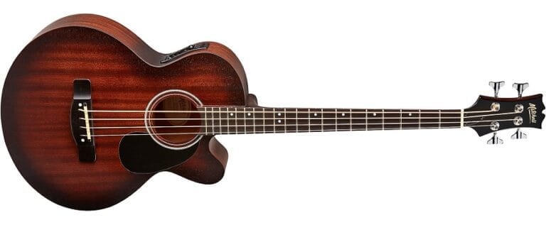 11 Best Acoustic Bass Guitars - BetterMuSeek